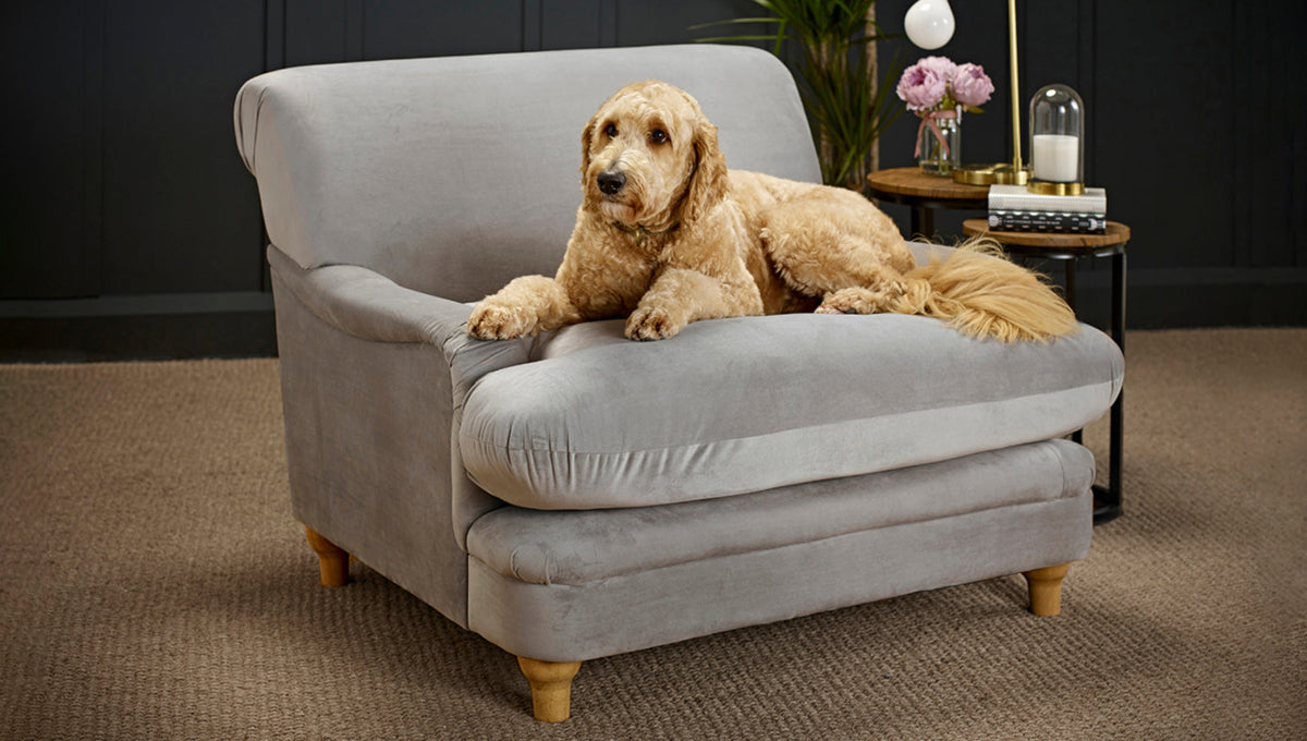 Beds, Mattresses, Sofas, Furniture, Bedding, Towels & Soft Furnishings ...